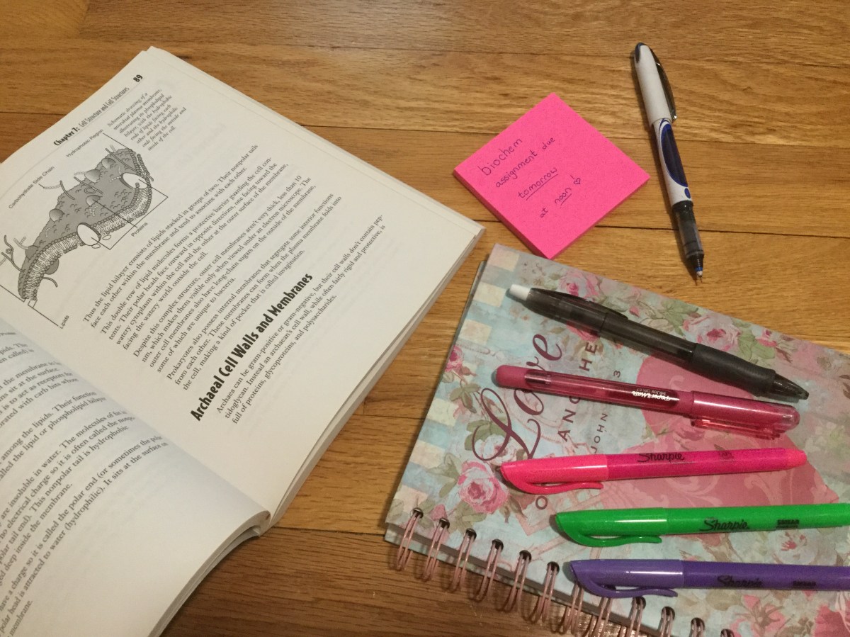 12 Things You Should Have For College (Fall 2020) – Back To Stable Hill